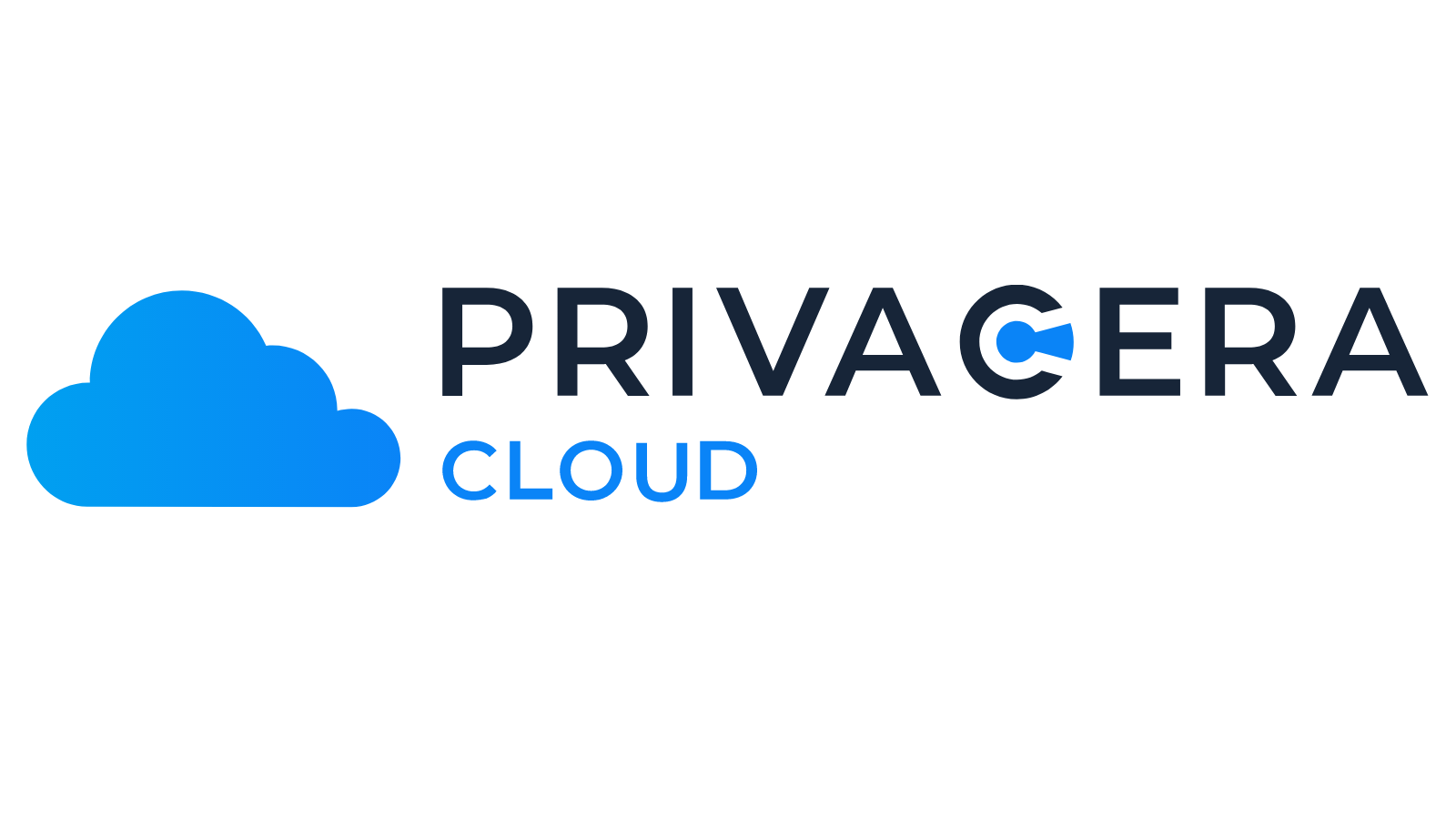 AWS Marketplace: Privacera Inc