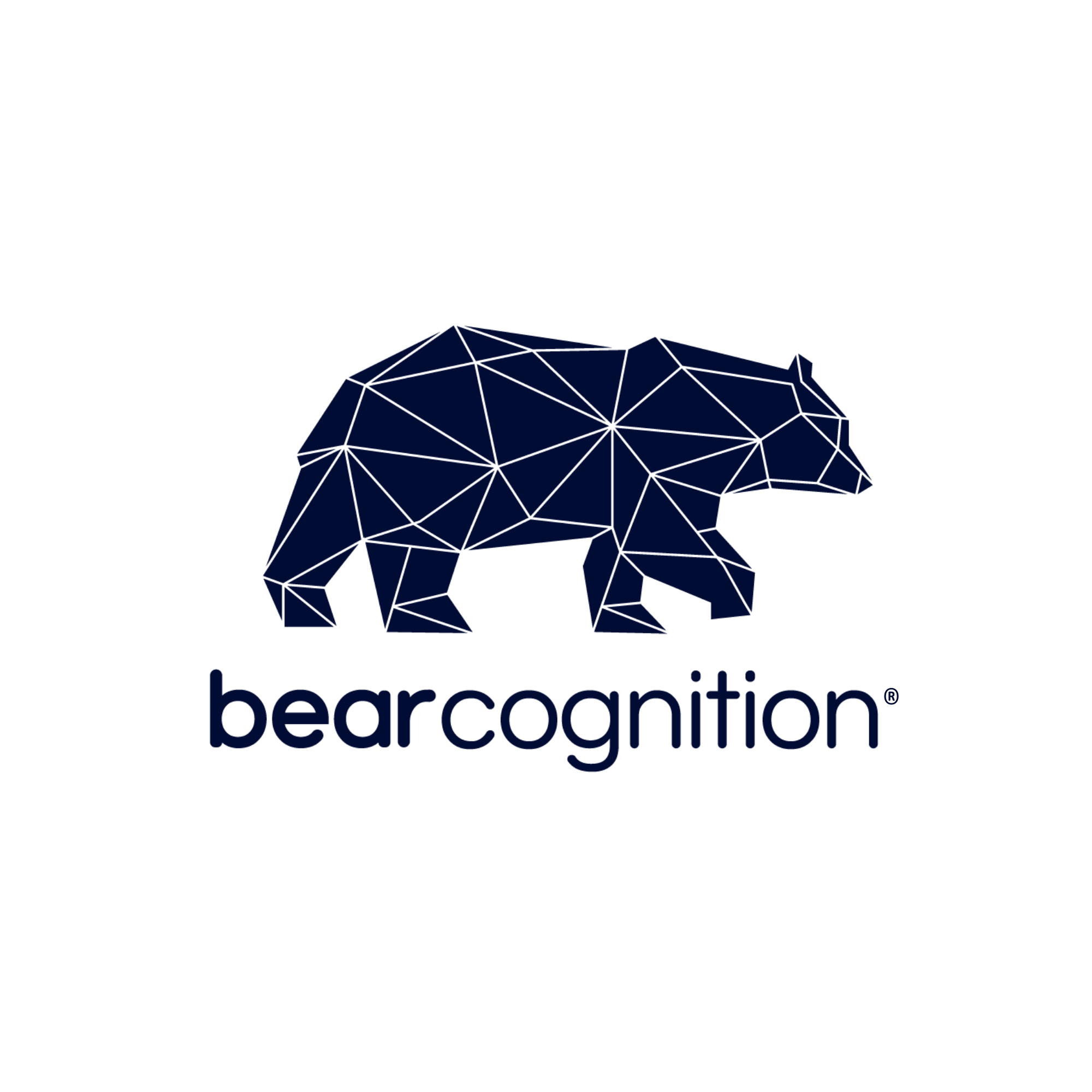 AWS Marketplace: Bear Cognition, inc