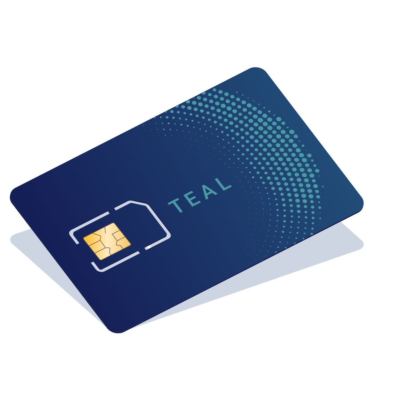 AWS Marketplace: Teal OneChip Global Cellular IoT eSIM (Card + Data)