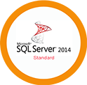 AWS Marketplace: 1-Click SQL Server 2014 SP2 Standard Edition On ...
